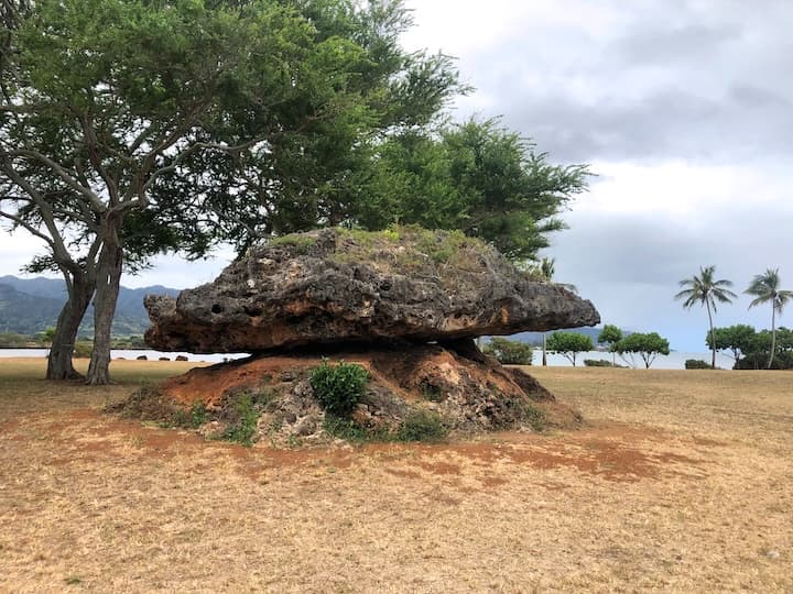 ポハク・ラナイ(バランスロック)とは？金運や仕事運アップのパワースポットを解説 | LEAF&BEAN: 登戸駅から徒歩5分のカフェ